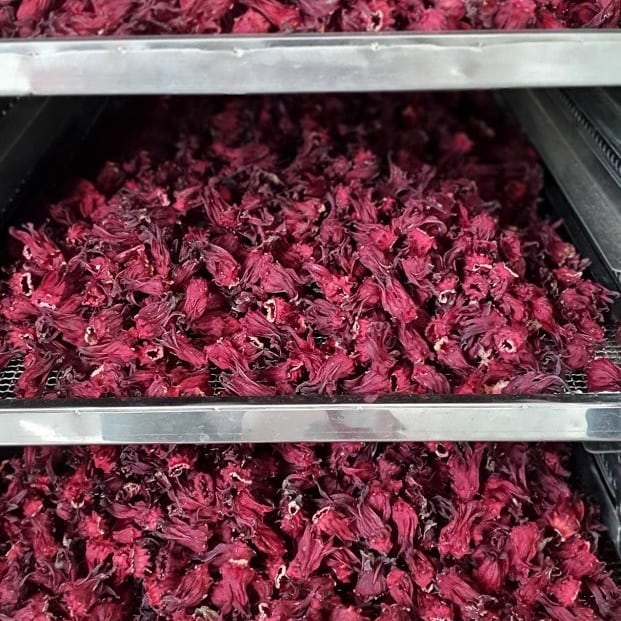 Cách pha chế atiso đỏ tại nhà cực nhanh và dễ - Hichagol